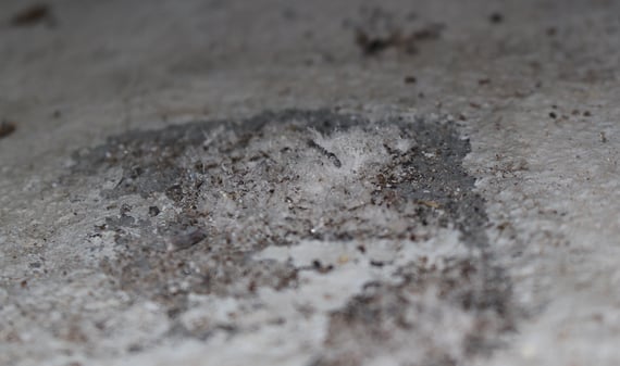 WME/Wood Moisture Equivalent | Home Inspector's Guide + Chart