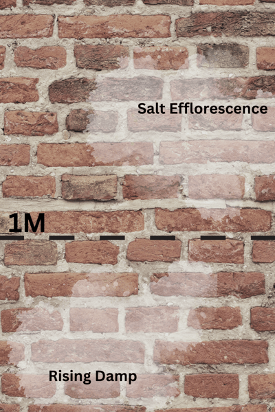 Salt Efflorescence, Damp Meters & Building Inspections