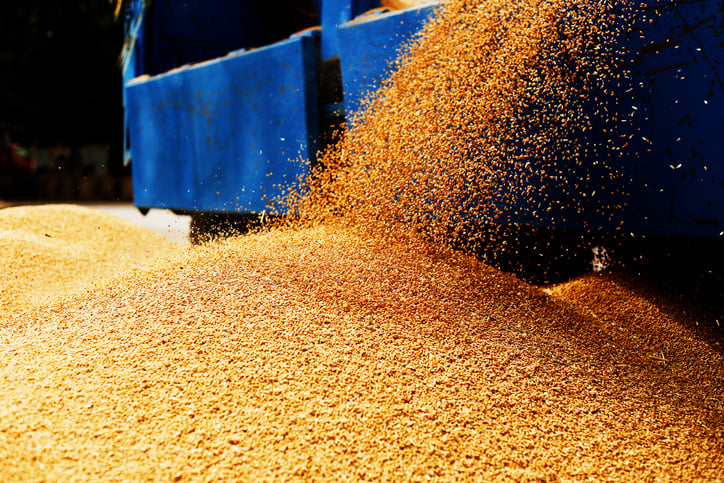 Grain & Hay Moisture Meters: Protecting the Harvest